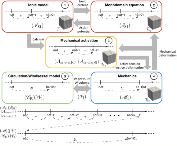 Advanced Numerical Methods for Scientific Computing