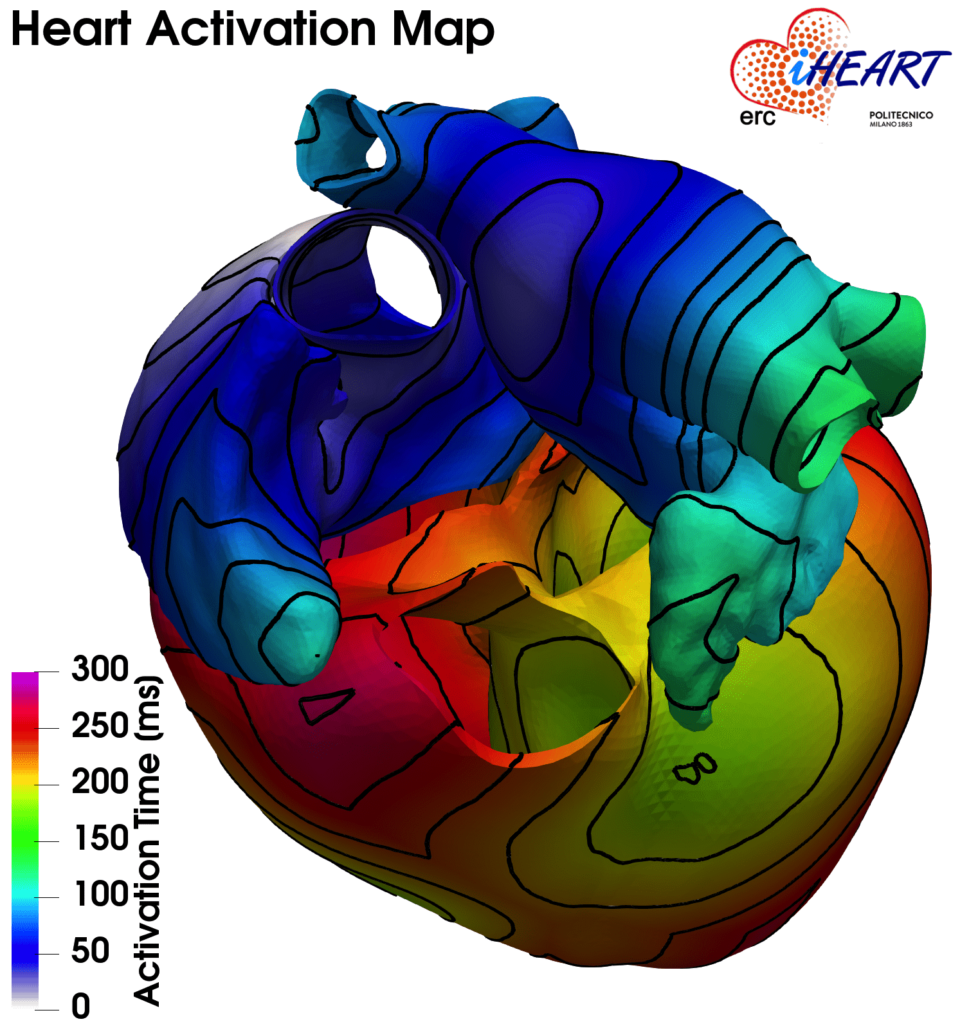 Models for the Heart