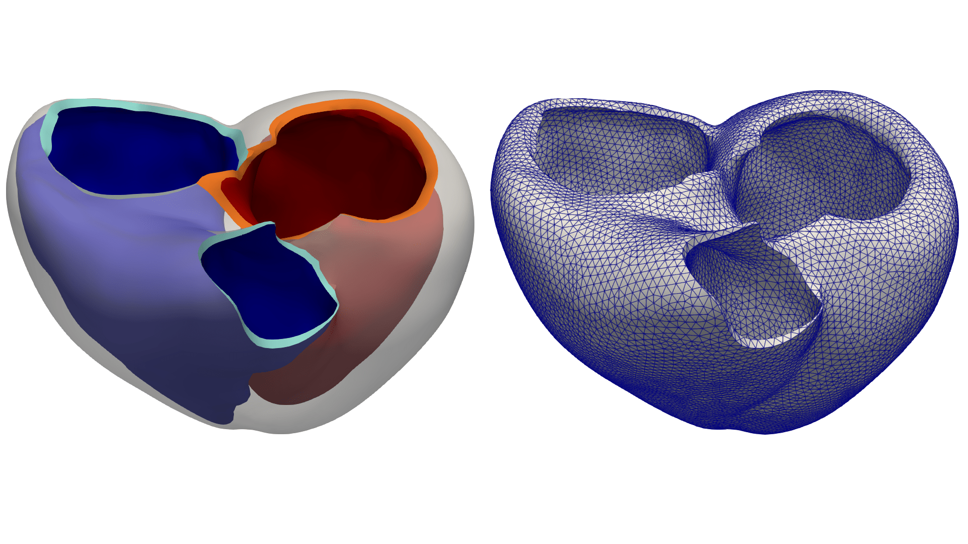 Models for the Heart