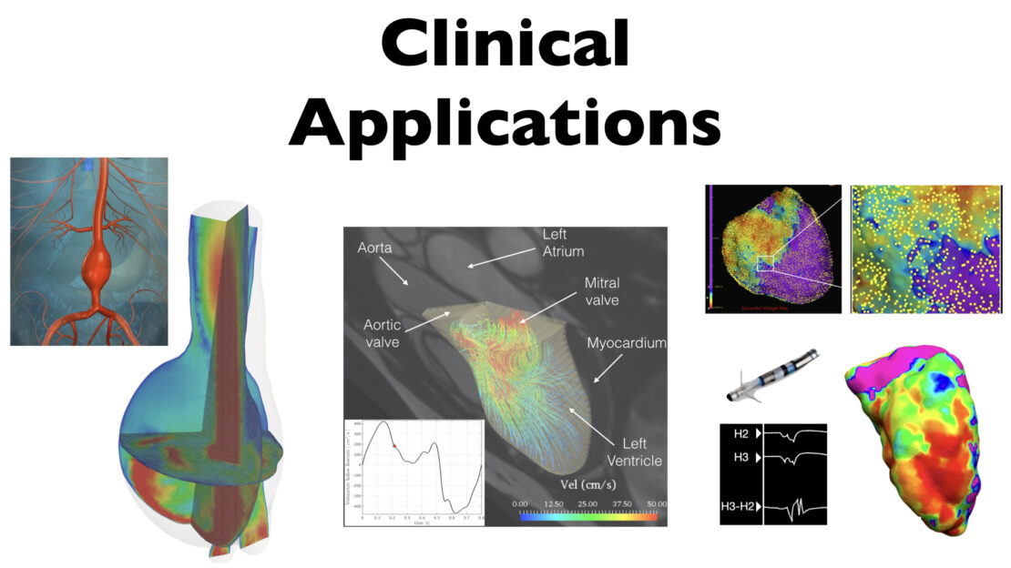 Computational Medicine for the Cardiocirculatory System